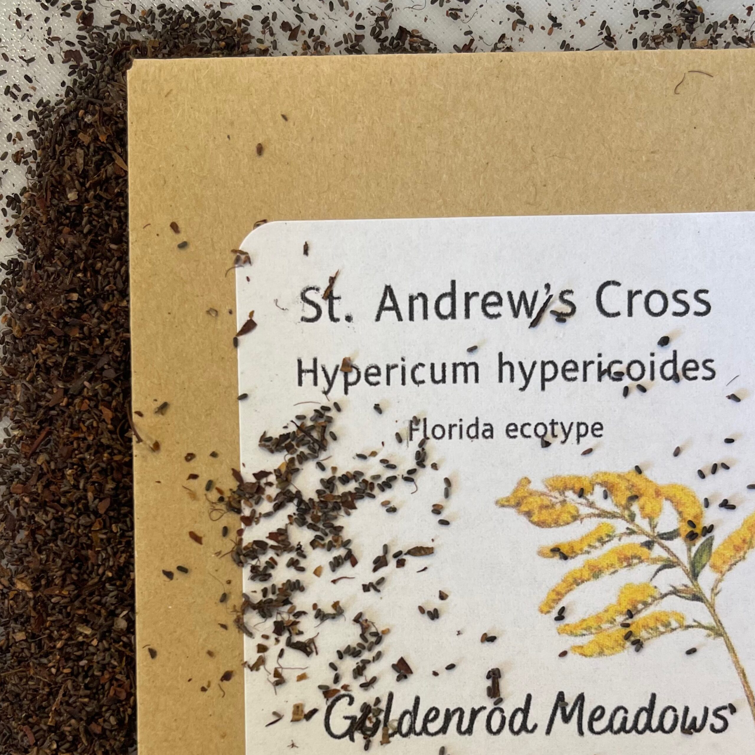 Seed Packet - Goldenrod Meadows